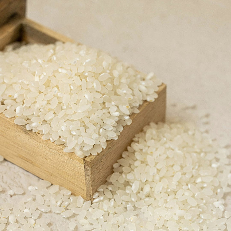 Glow Deep Serum : Rice +Alpha-Arbutin – Beauty of Joseon