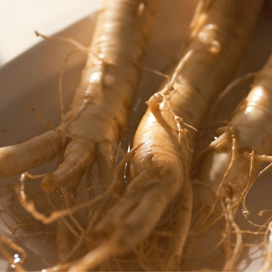 Revive Serum : Ginseng + Snail Mucin – Beauty of Joseon