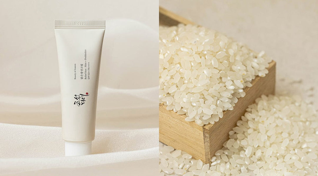 Dynasty Sun Kit – Beauty of Joseon